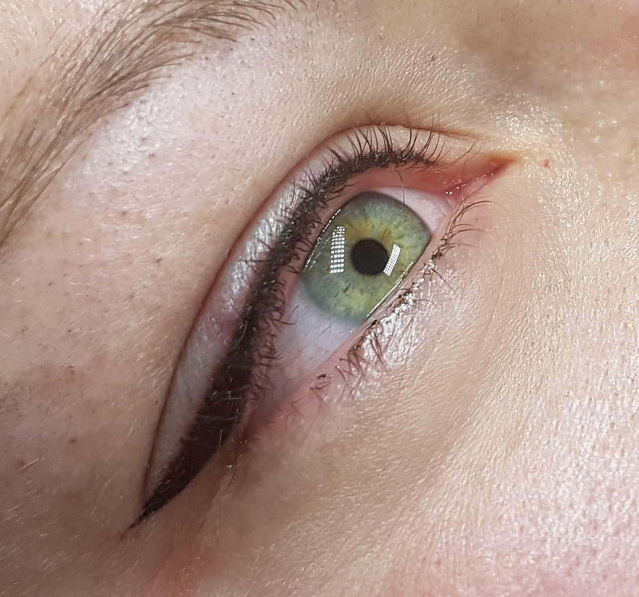 lashlinerflick | Beauty And The Brows